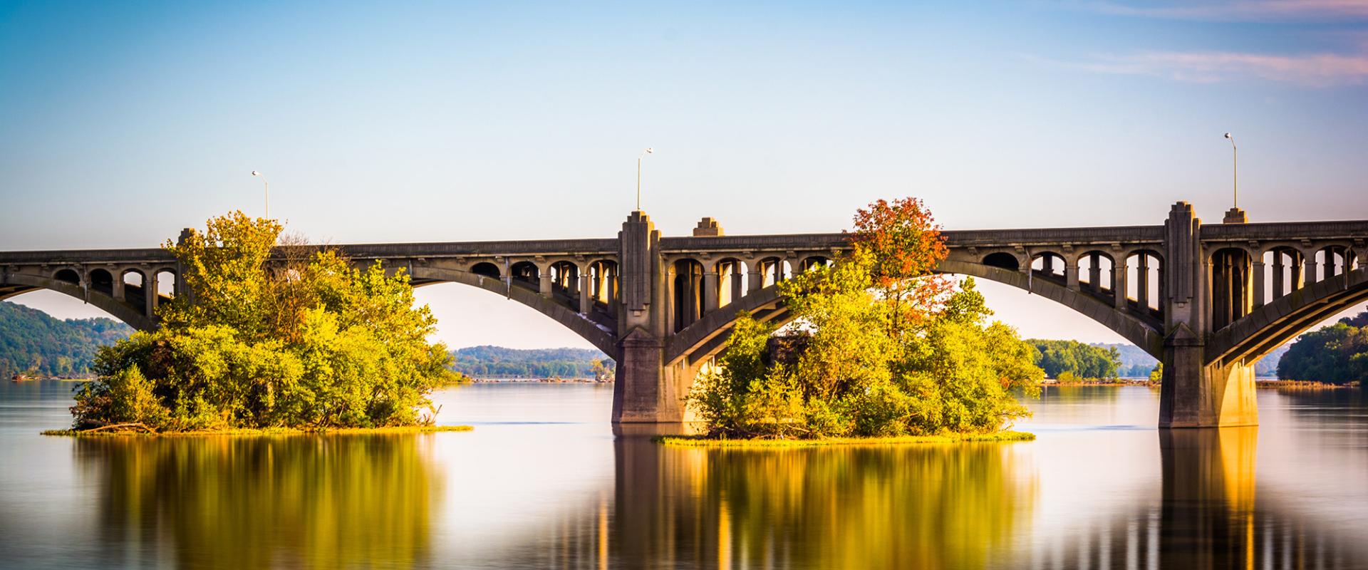 Brian Luster | Chief Investment Officer | Collective Family